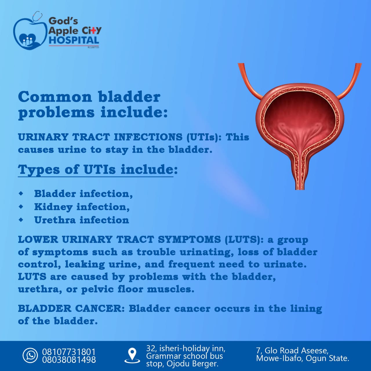 Bladder Health – God's Apple City Hospital