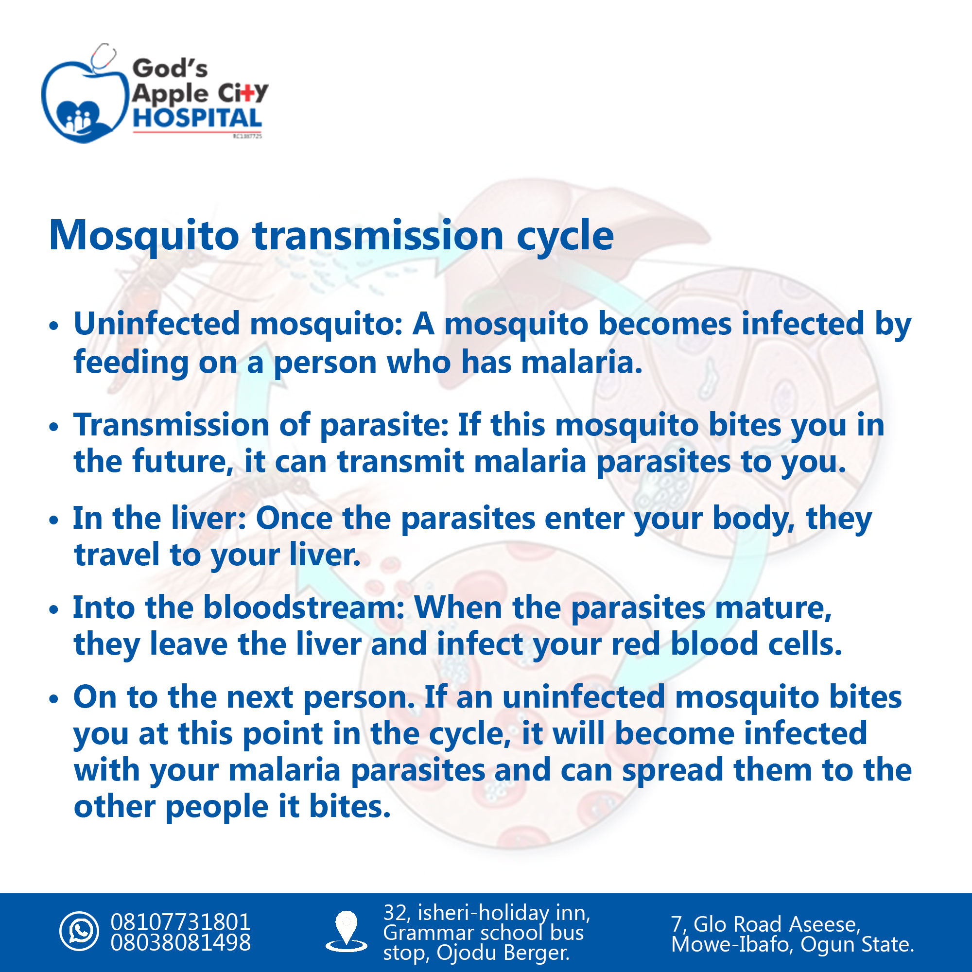 Malaria – God's Apple City Hospital